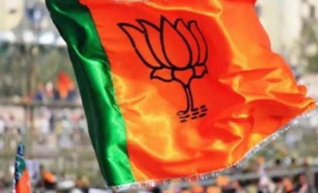 CG BJP LIST BREAKING : भाजपा की और नई लिस्ट जारी .. - Khabarchalisa News