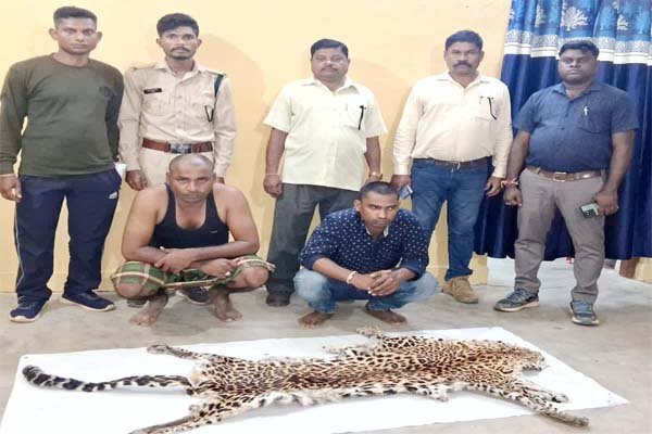 CG BREAKING : तेंदुए की खाल के साथ 2 अंतरराज्यीय तस्कर गिरफ्तार - Khabarchalisa News